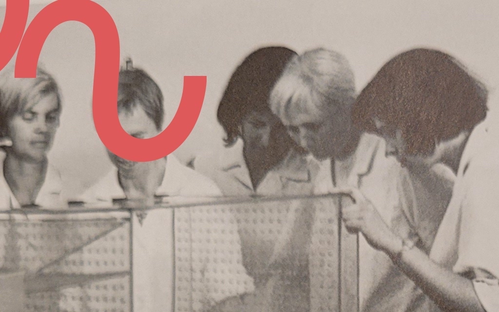 Job advertisement: two-year postdoctoral research fellowship